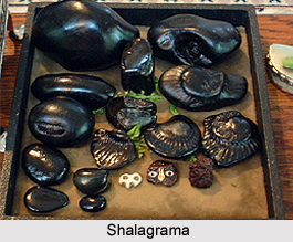 Shalagrama